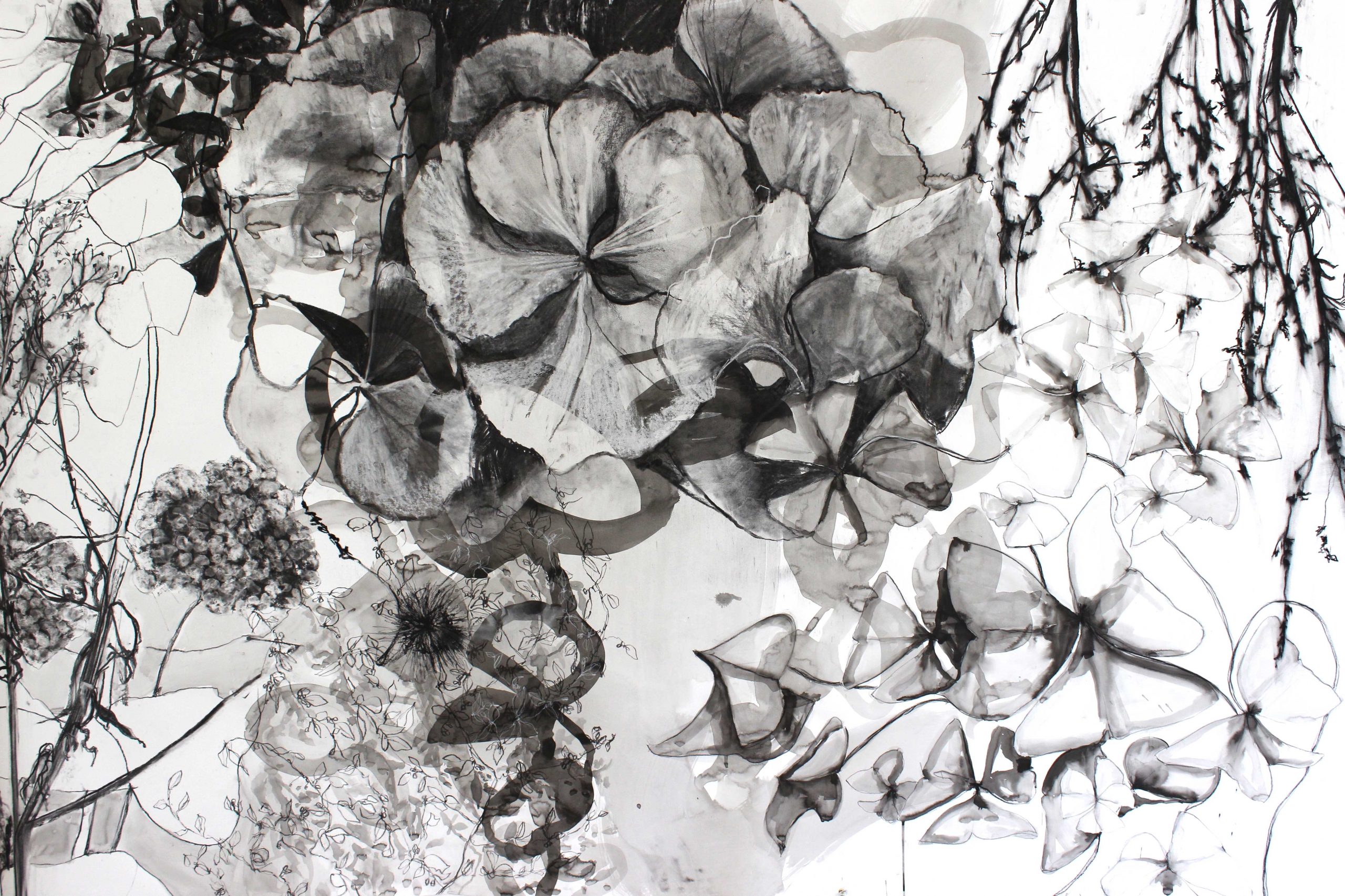 PCA Creative Drawing Project “We Drew a Garden” features Veronique ...