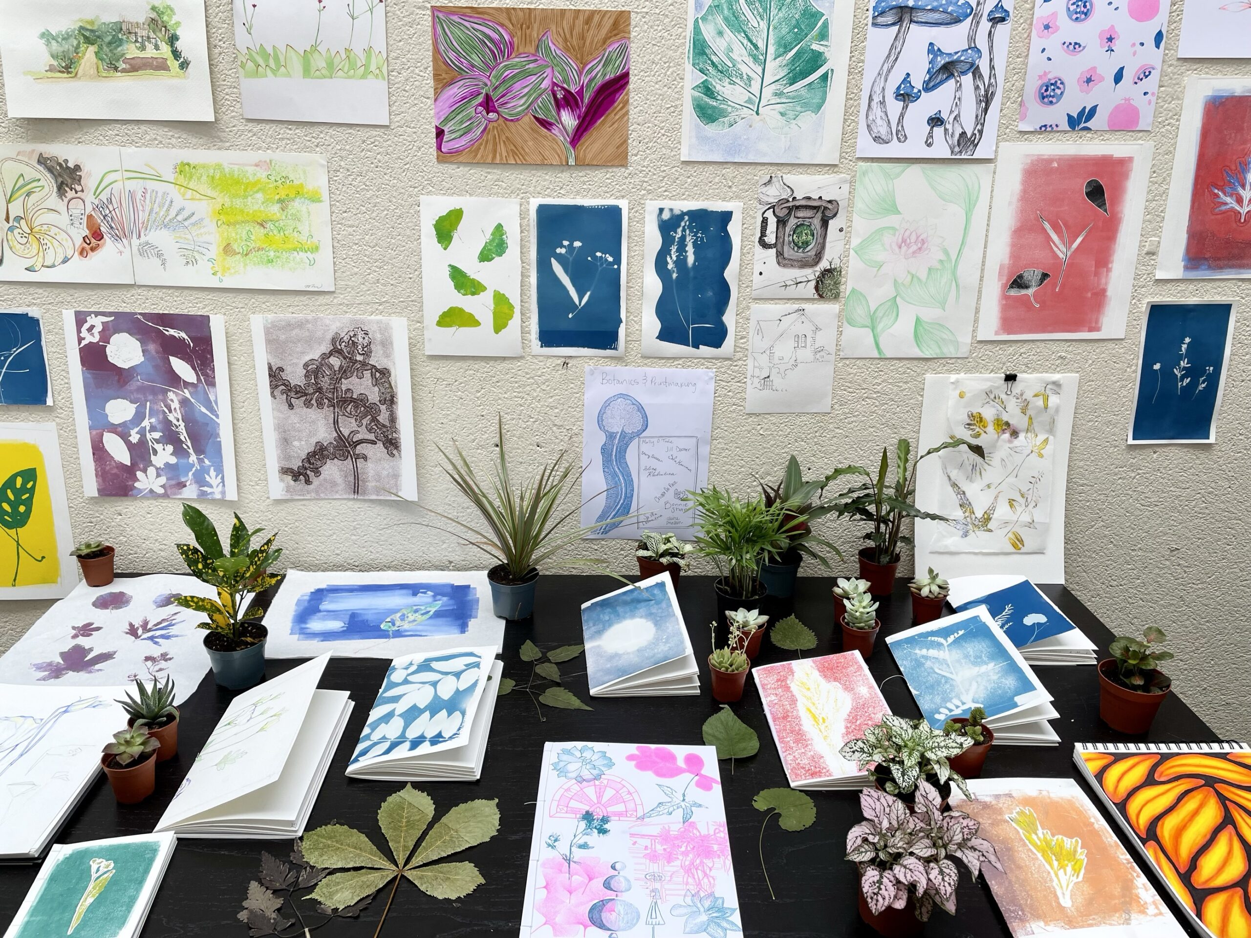 Botanics, Drawing, and Printmaking — PCA